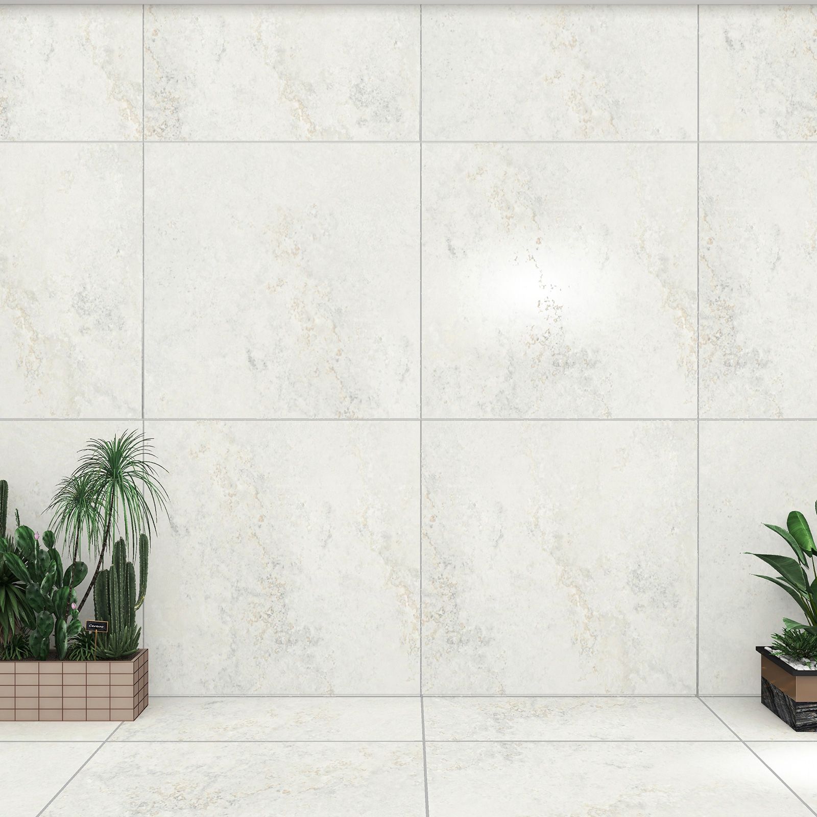 DLAŽBA EGEN SIERRA WHITE CARVING 120X120 | NX23696